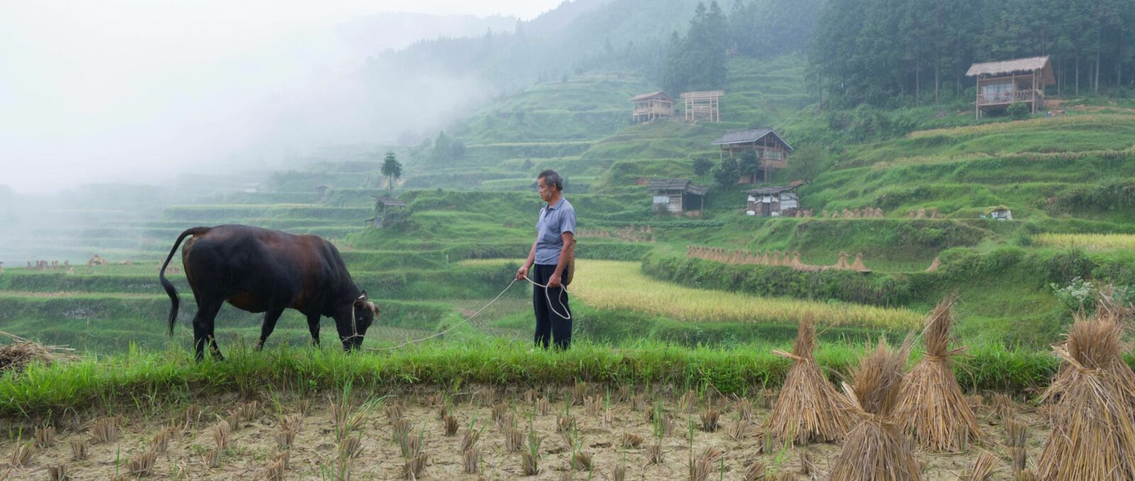 Oxford Real Farming Conference