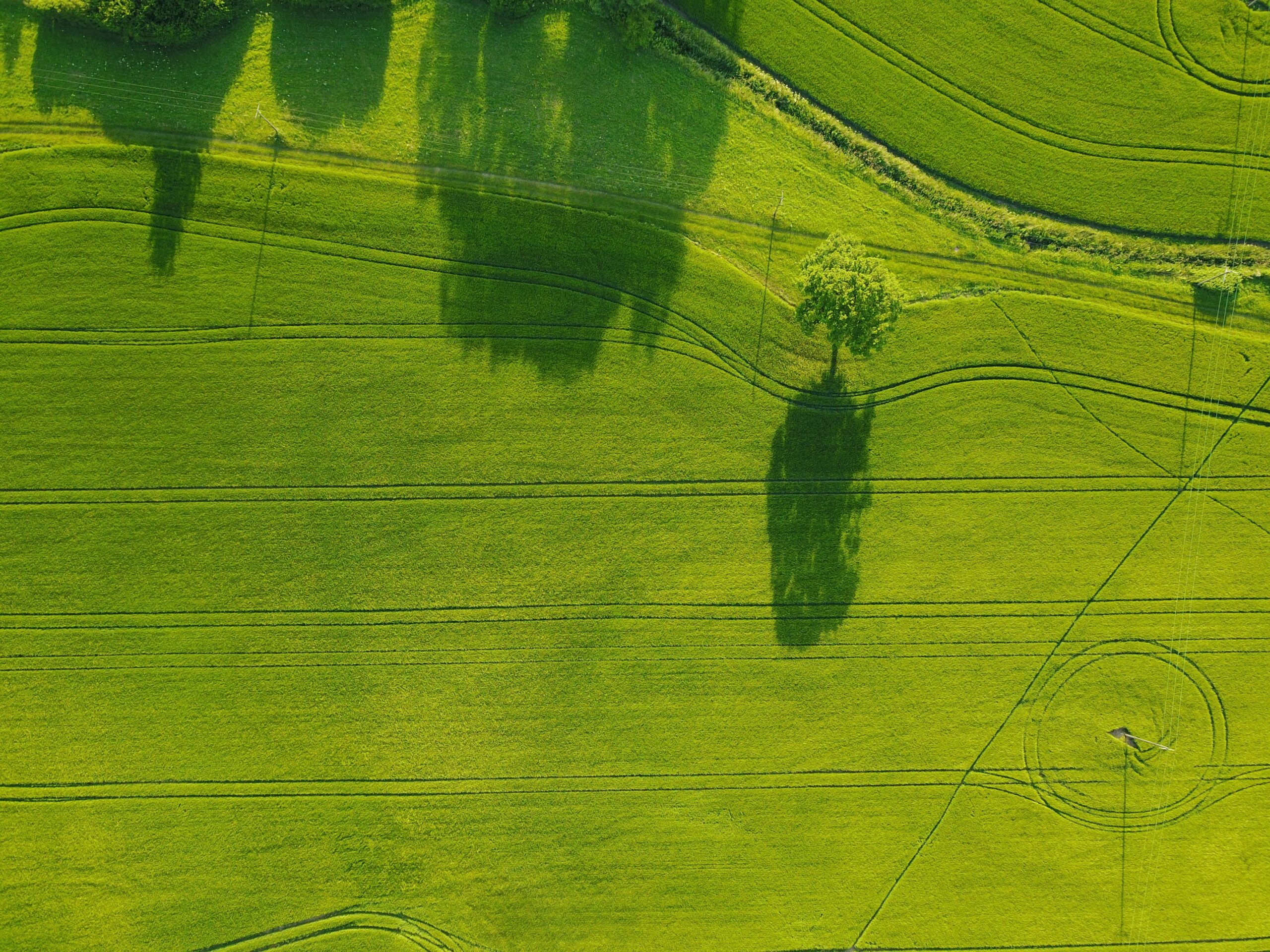 ORFC24: Reclaiming decision making power over our food systems